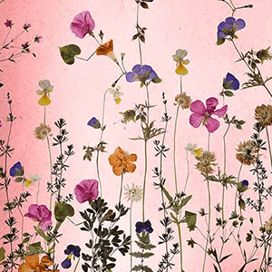 Customized Wallpaper Designs | Cara Saven Wall Design - USA
